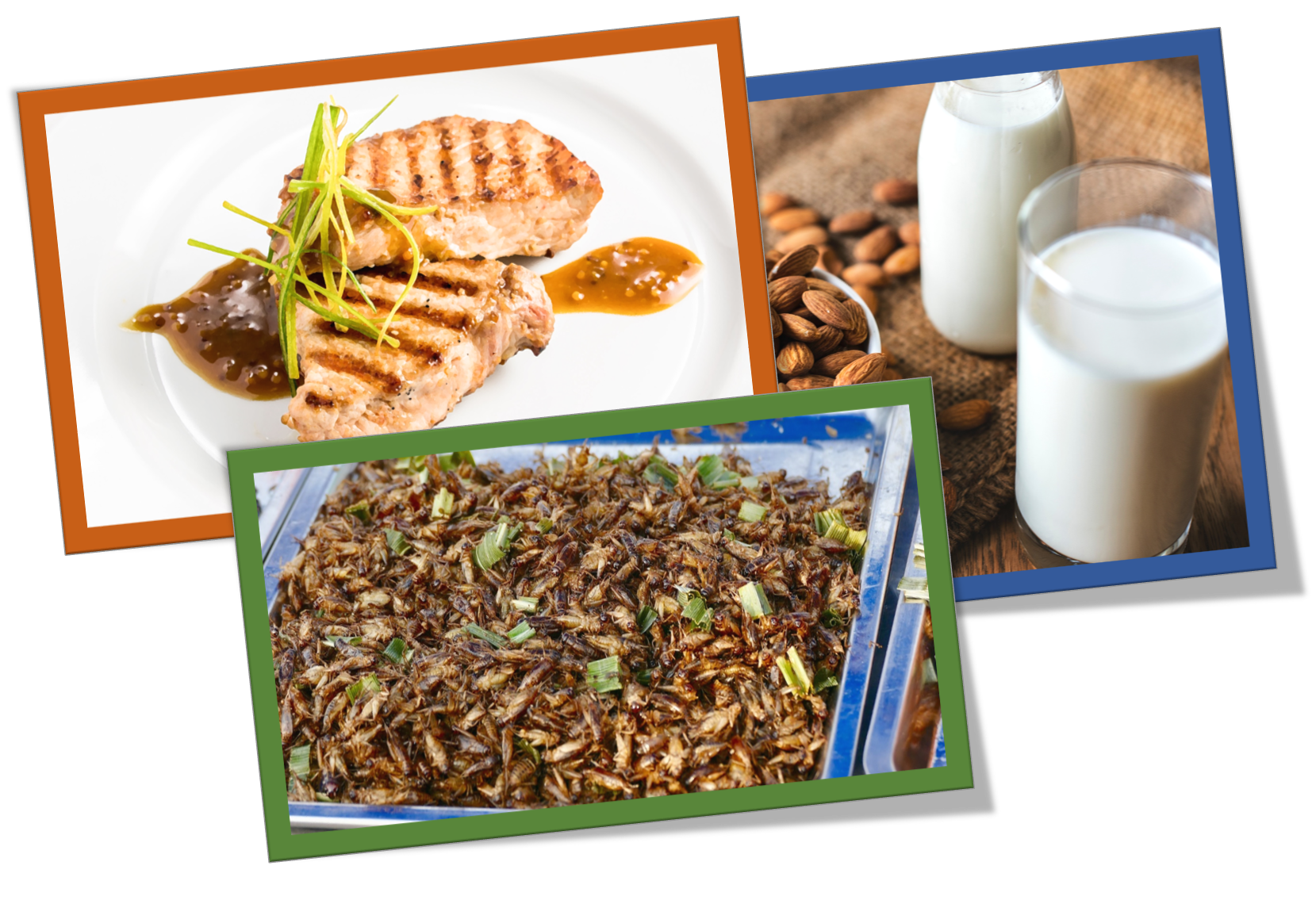 Framing the future of food: The contested promises of alternative ...