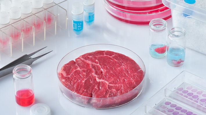 Climate Impacts of Cultured Meat and Beef Cattle | LEAP